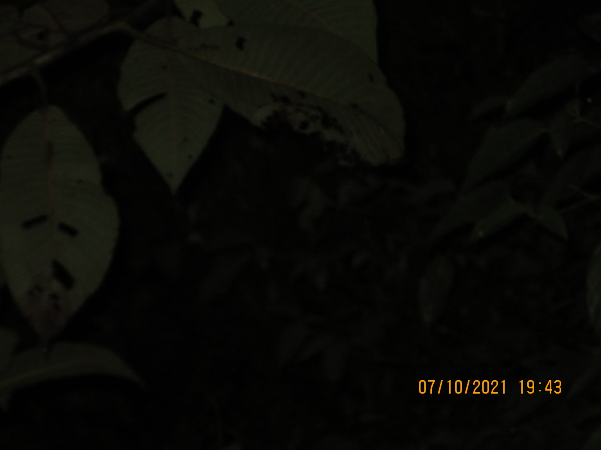 Reproducing The Night Photos During Our Expeditions | Imperfect Plan