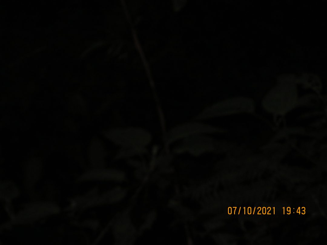 Reproducing The Night Photos During Our Expeditions | Imperfect Plan