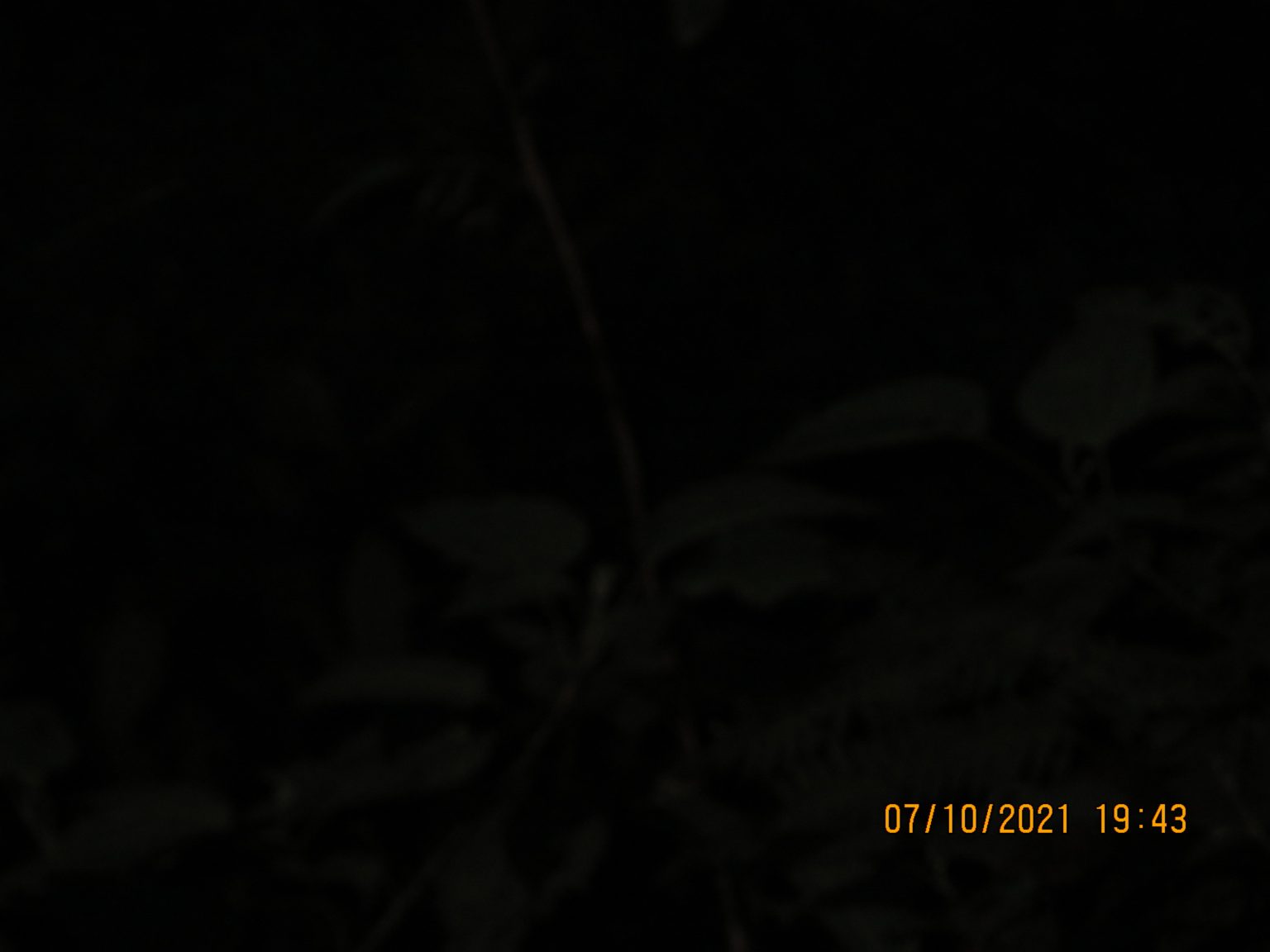 Reproducing The Night Photos During Our Expeditions | Imperfect Plan