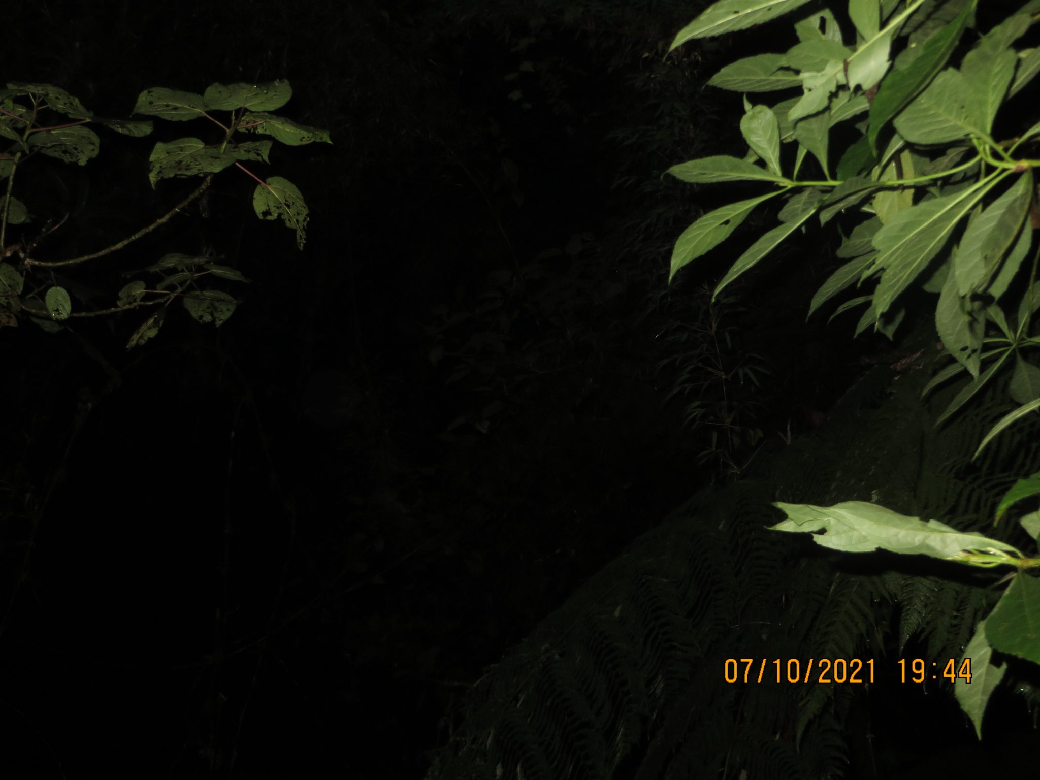 Reproducing The Night Photos During Our Expeditions | Imperfect Plan