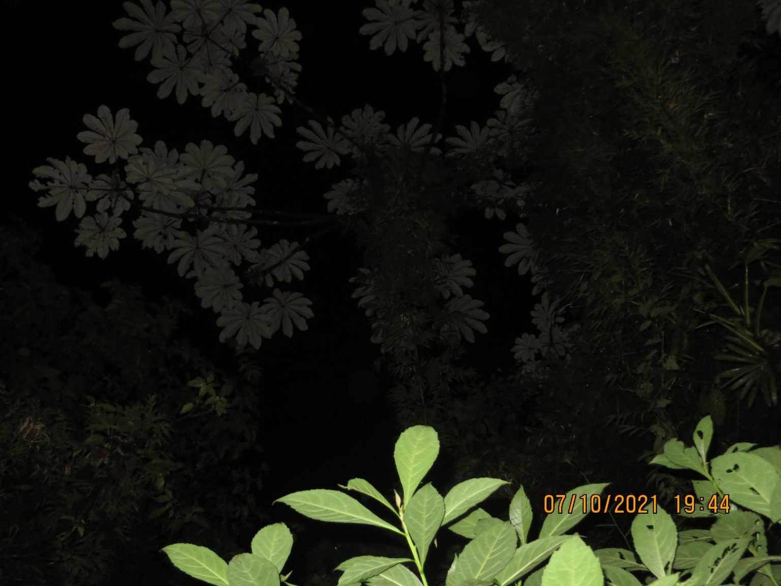 Reproducing The Night Photos During Our Expeditions | Imperfect Plan